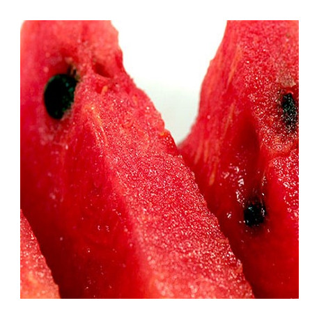 Sandia - La Gran Obra